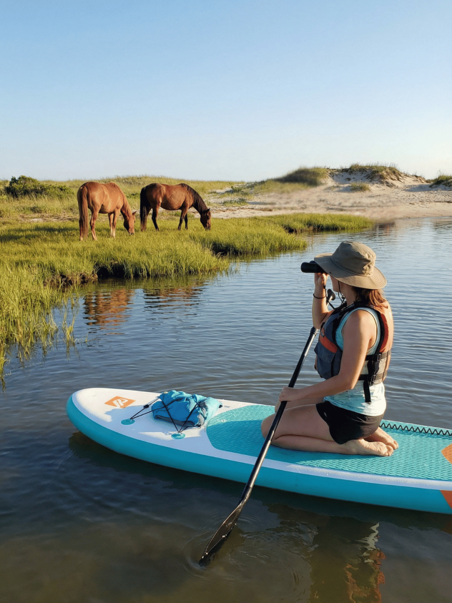Planning a Summer Getaway on Maryland’s Coast