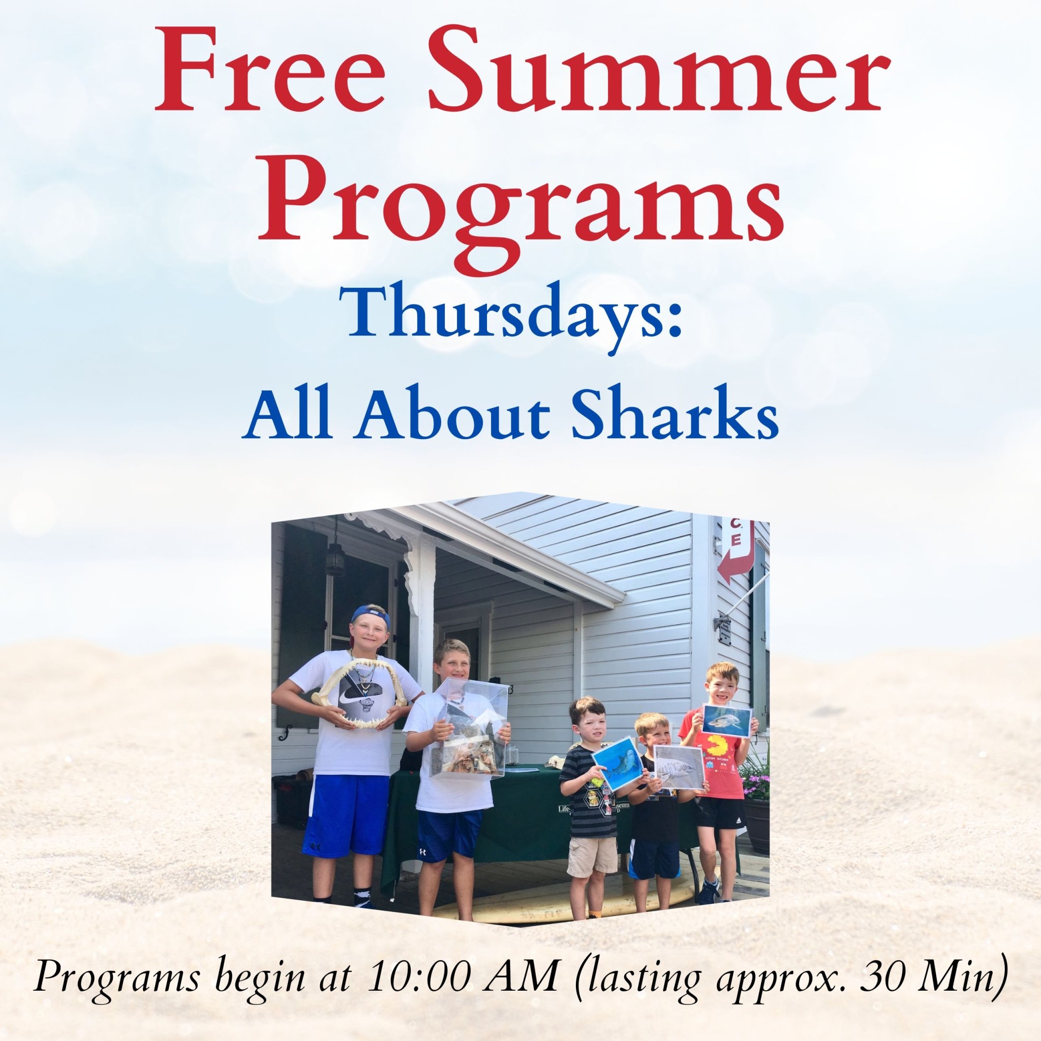 All About Sharks - Free Summer Program at Ocean City Life-Saving ...