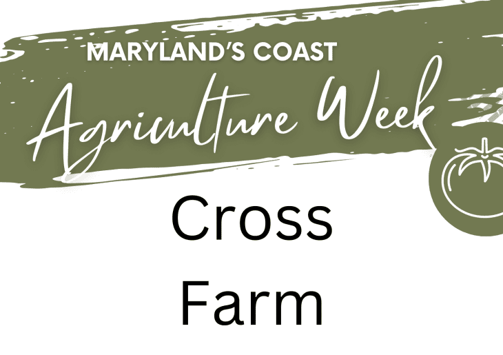 Cross Farms - Heirloom Tomato Tasting
