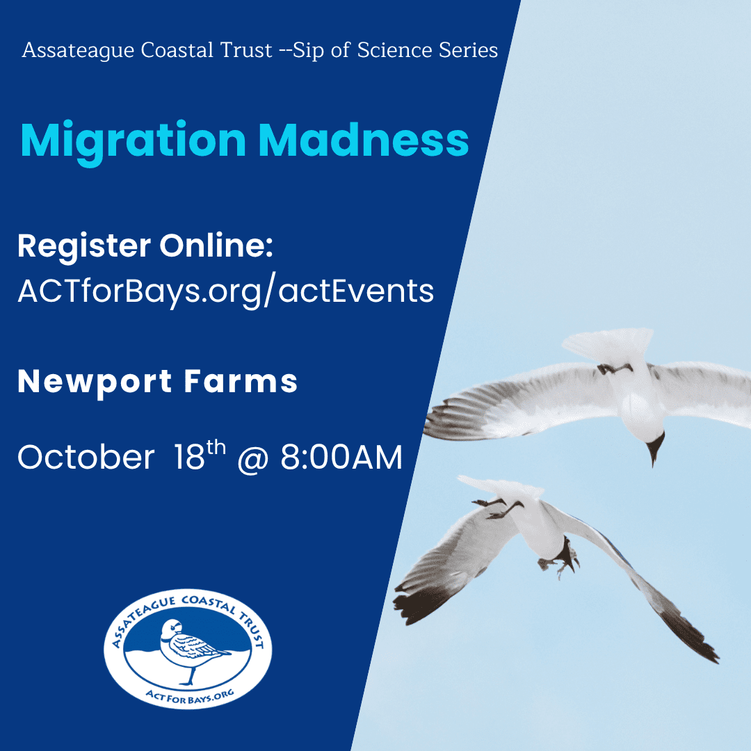 ACT- Sip of Science - Migration Madness - An Avian Adventure