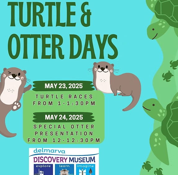 World Turtle Day Celebration