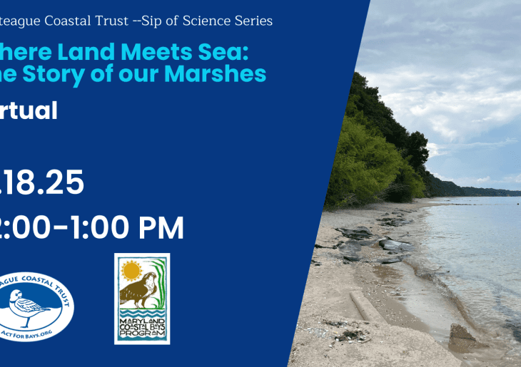 ACT - Sip of Science - Where Land Meets Sea - 'The Story of Our Marshes'