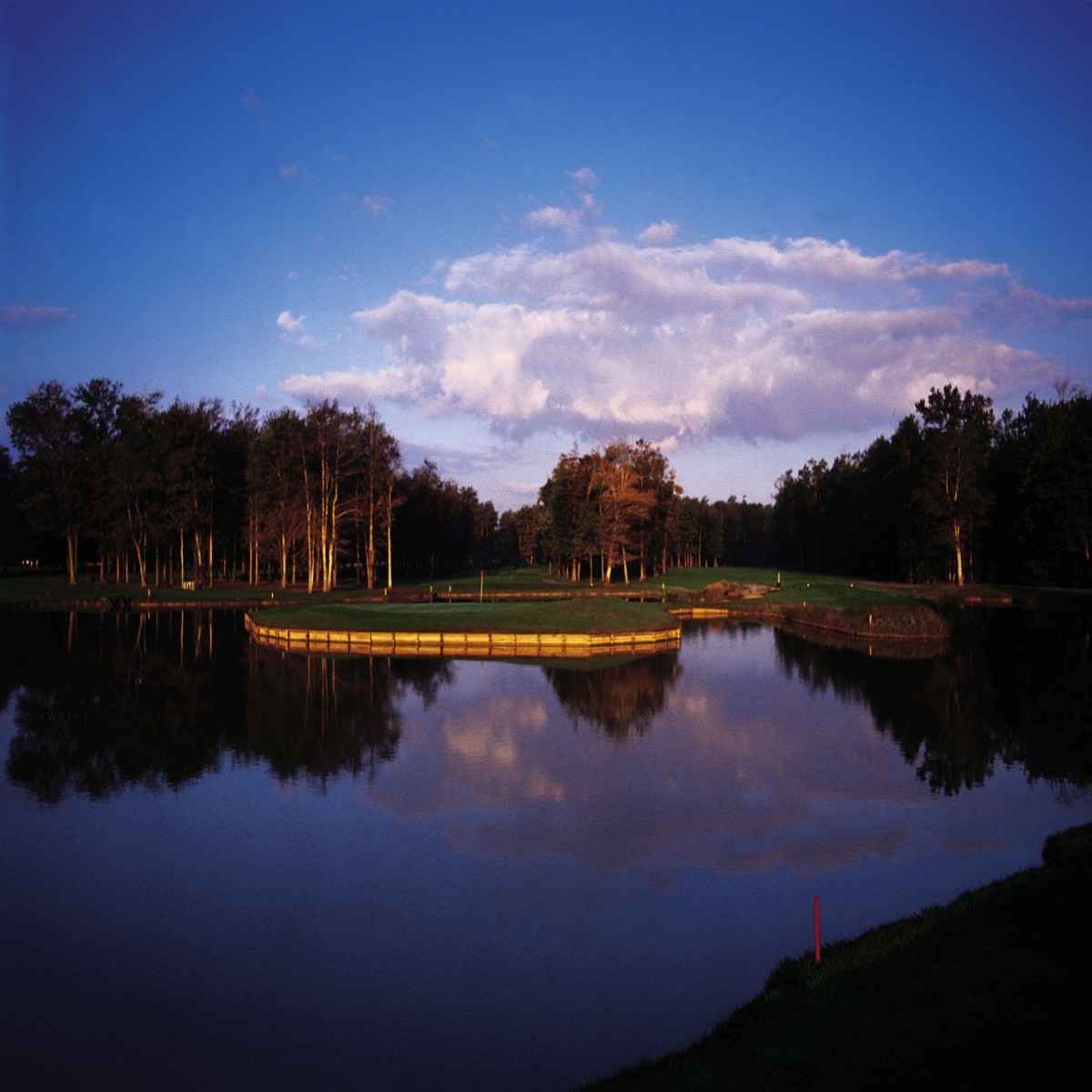 The Bay Club