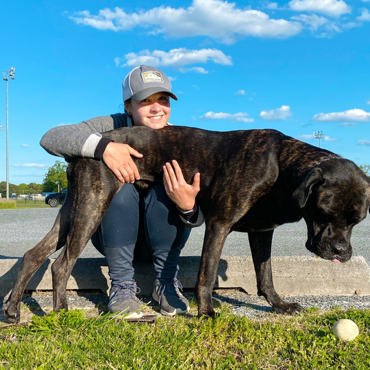 Shore Dogs Canine Training